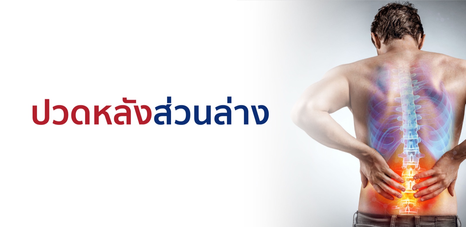 Low Back Pain | Bangkok Hospital Phuket